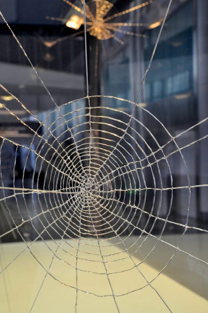 Giant spider webs at Philadelphia Airport - Stuck at the Airport