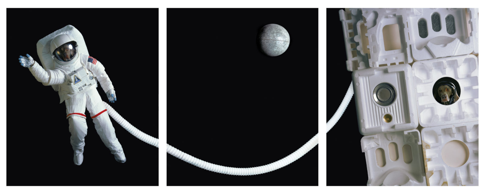 NASA: savvy art collector - Stuck at the Airport