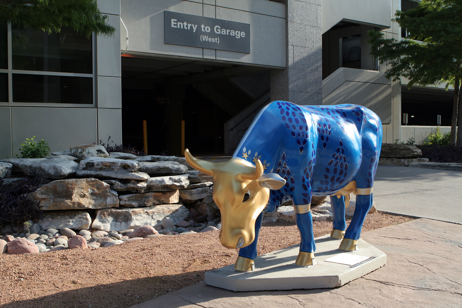 Cows at Austin-Bergstrom International Airport - Stuck at the Airport