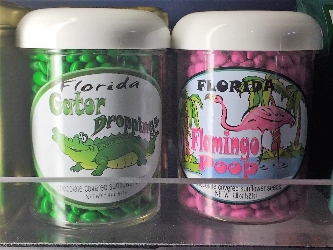 Silly souvenirs spotted at Orlando International Airport - Stuck at the ...