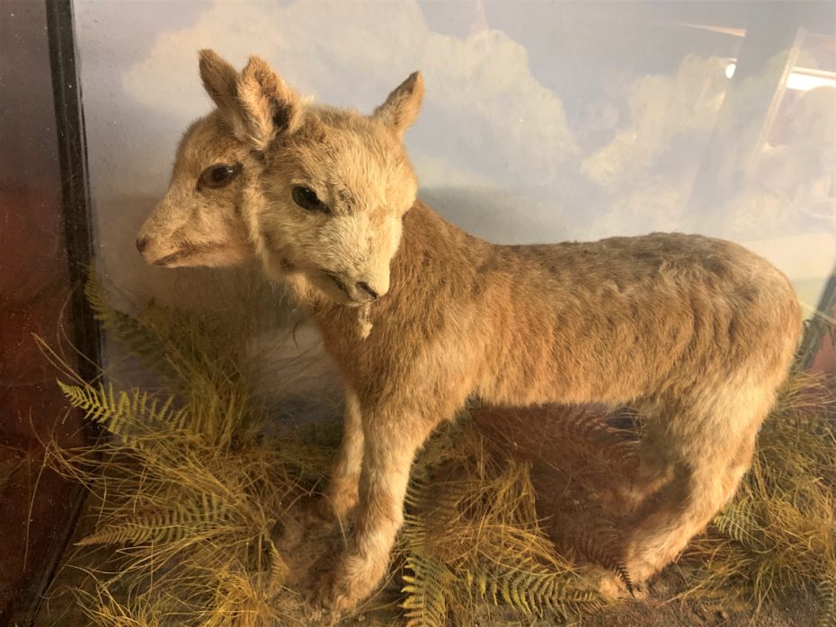 London Archives - Stuck at the Airport