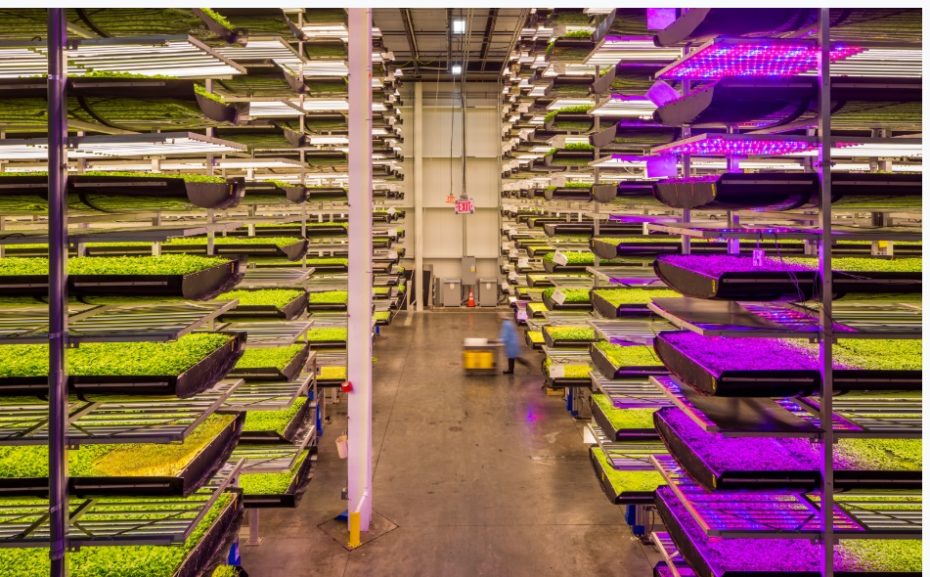 Airline food Archives - Stuck at the Airport