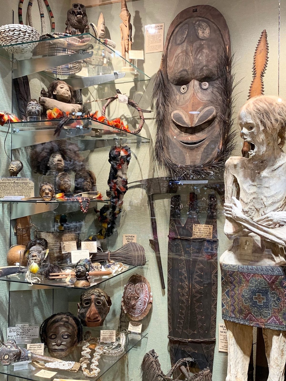 Extra time in Seattle? Where to go, what to do. - Stuck at the Airport