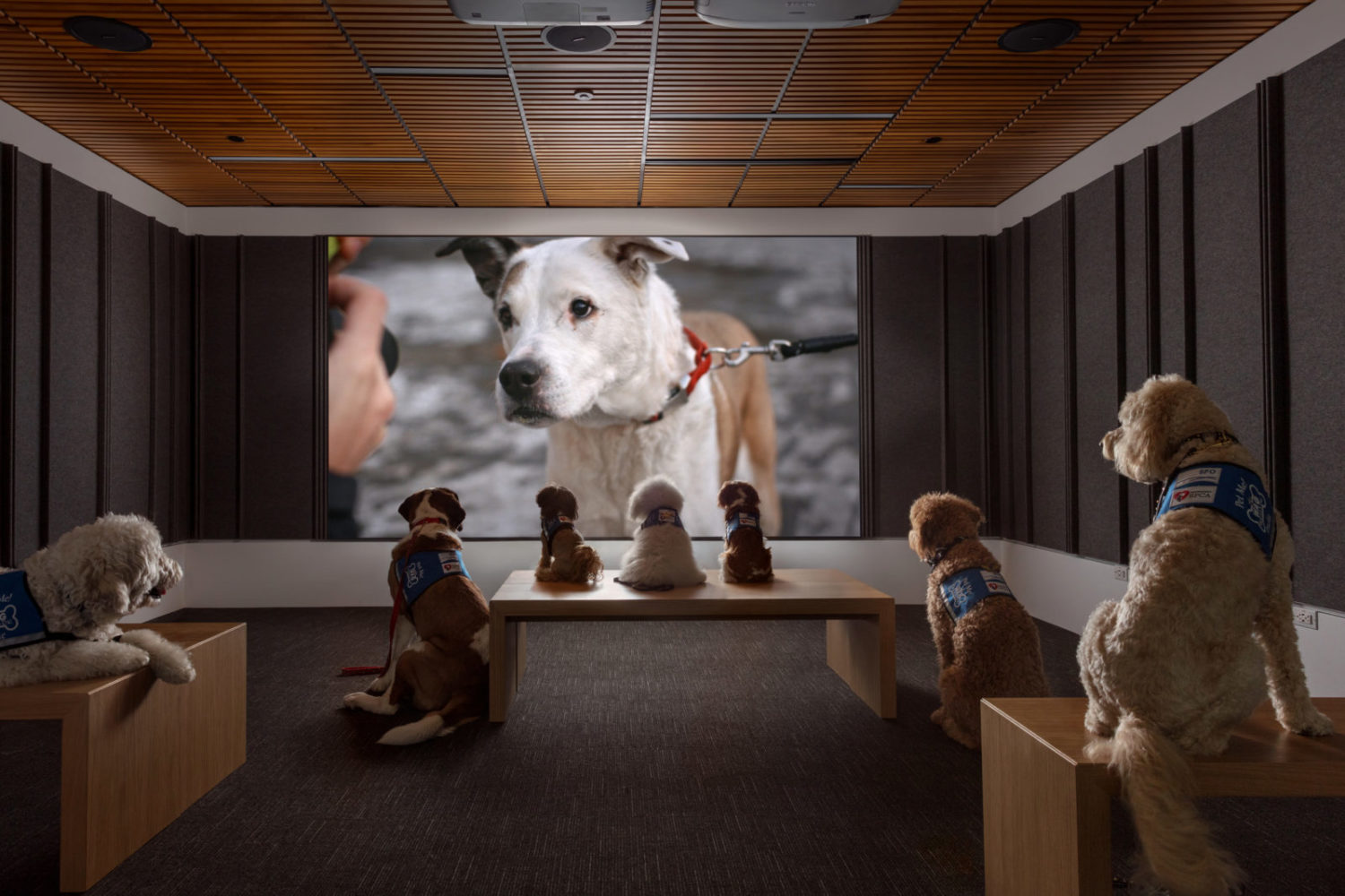 5 Things We Love About: San Francisco International Airport (SFO ...