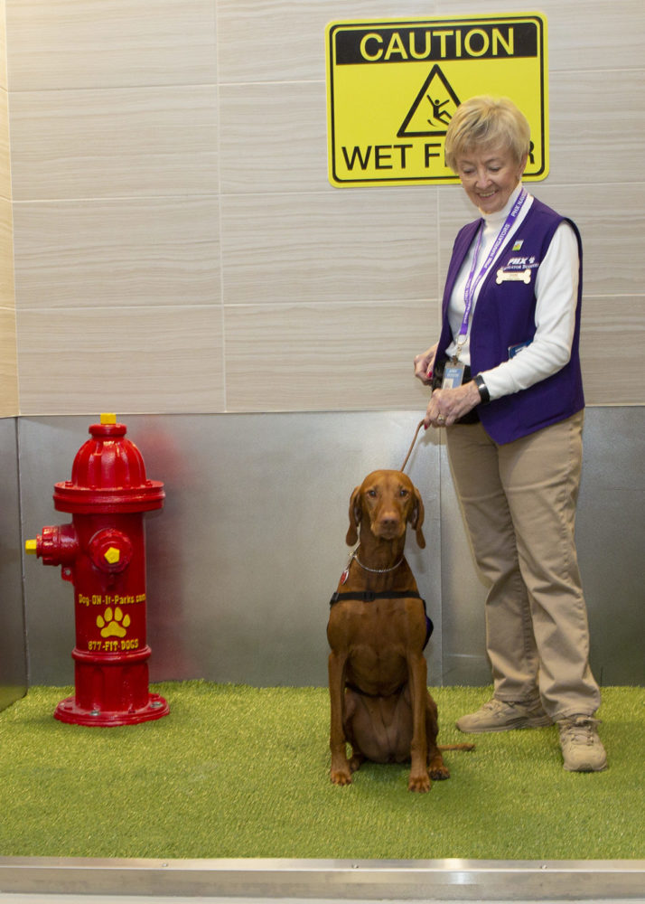 pet relief areas Archives - Stuck at the Airport