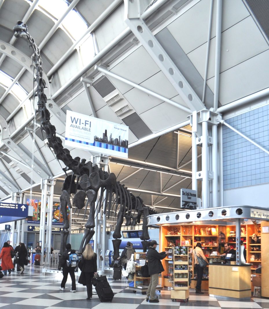 ORD: 5 Things We Love About Chicago O’Hare International Airport ...