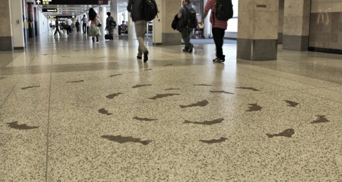 Something Fishy Spotted at Seattle-Tacoma Int'l Airport - Stuck at the ...