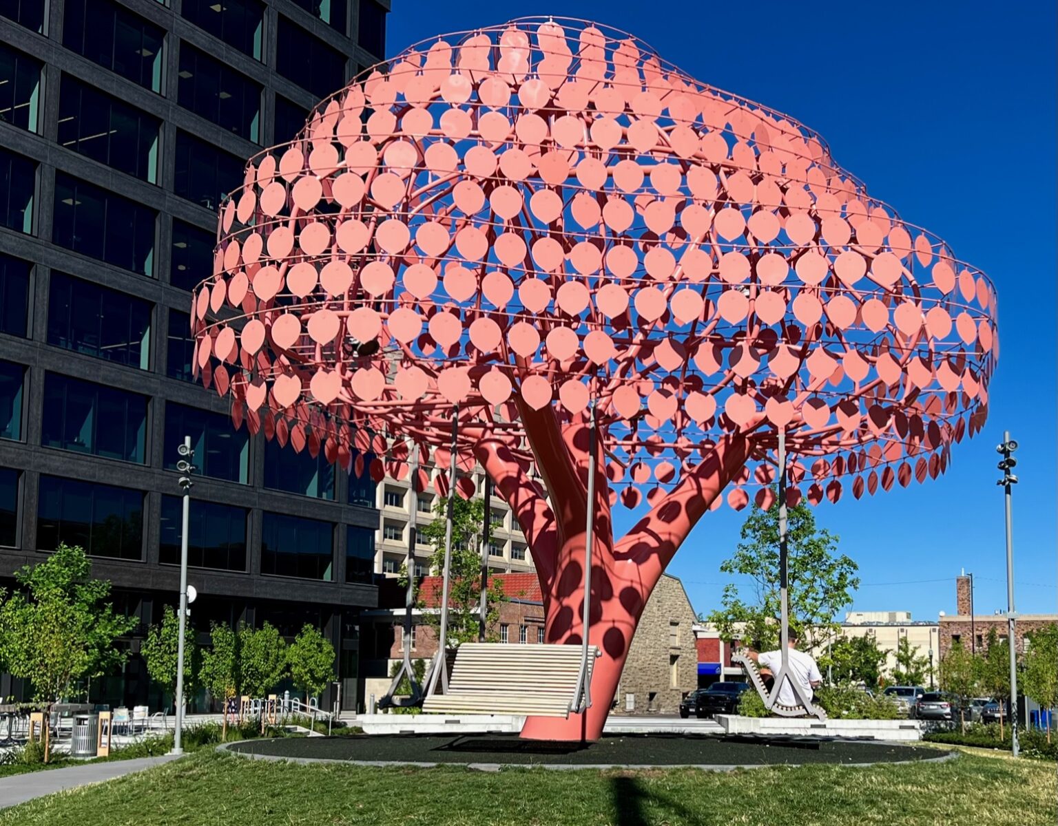 Rebranded airport + plus a Barbie-worthy tree - Stuck at the Airport