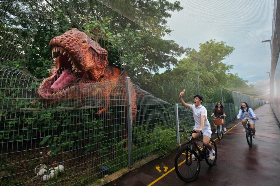 Free bike rentals at Singapore's Changi Airport - Stuck at the Airport