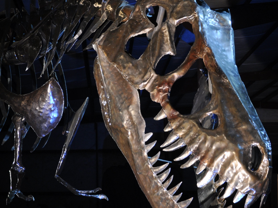 Get free museum admission July 4 & all summer - Stuck at the Airport